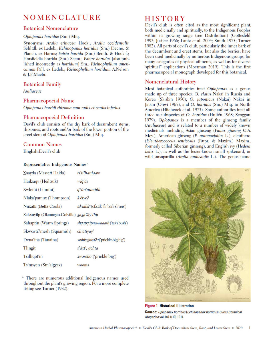 Devil's Club: Bark of Decumbent Stem, Root, and Lower Stem – American ...