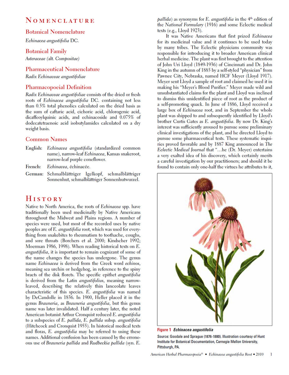 Echinacea angustifolia Root – American Herbal Pharmacopoeia®