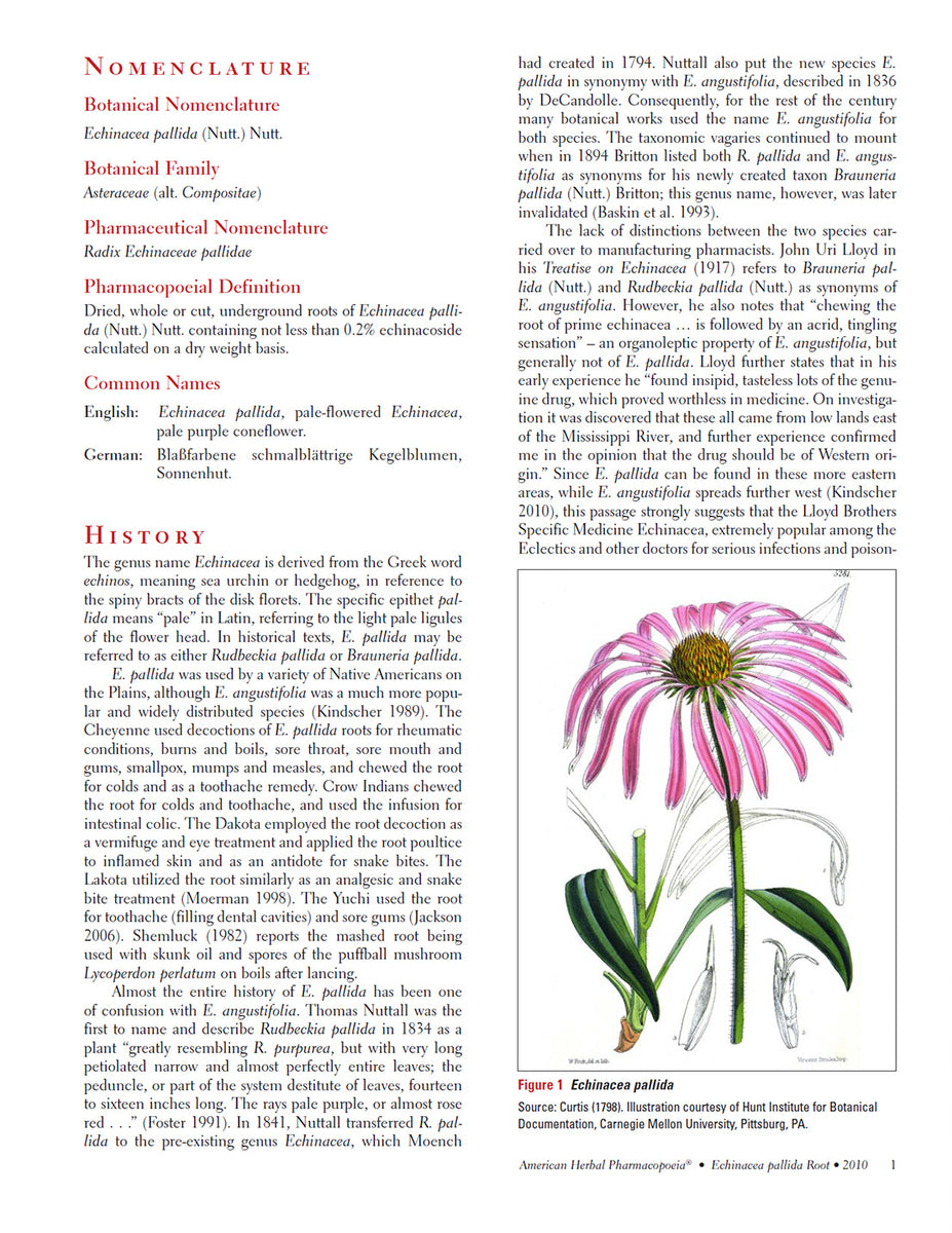Echinacea pallida Root – American Herbal Pharmacopoeia®